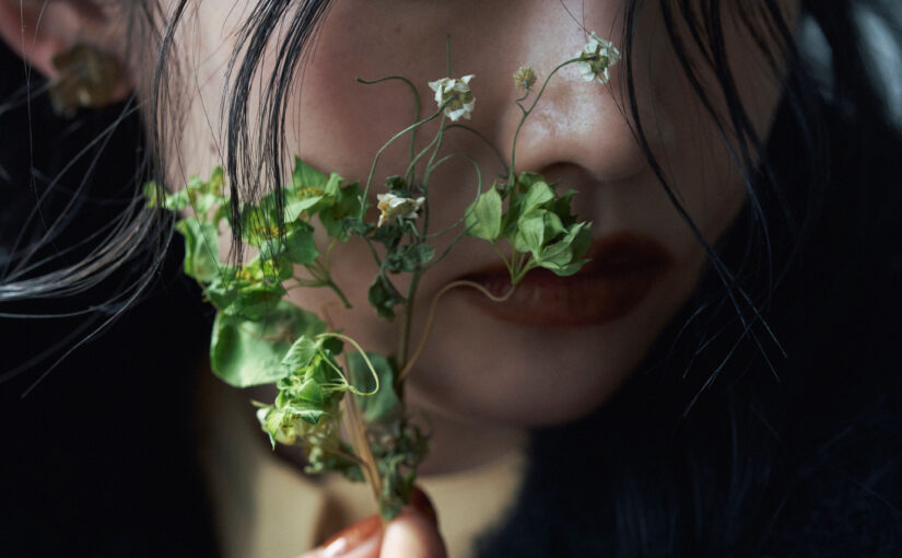 collection - Y.M.Walts